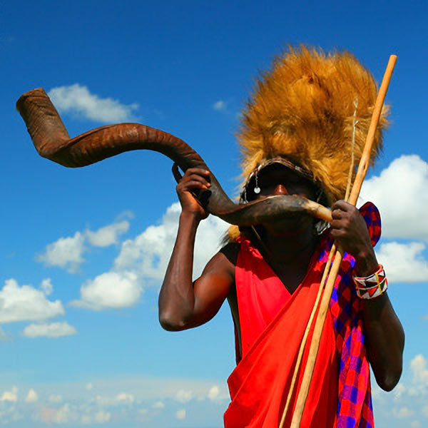 Spectrasonics - Omnisphere - Library